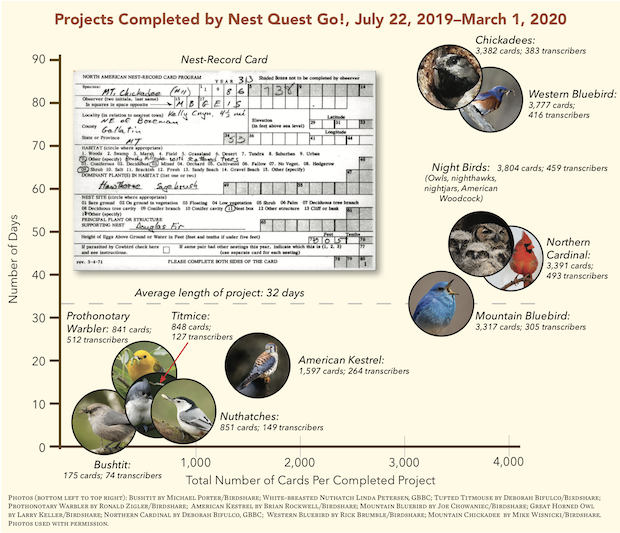 Results | Nest Quest Go: Eastern Bluebirds | Zooniverse - People ...