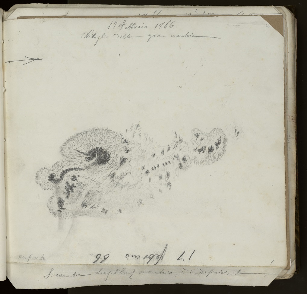 Research | Sunspot Detectives | Zooniverse - People-powered research