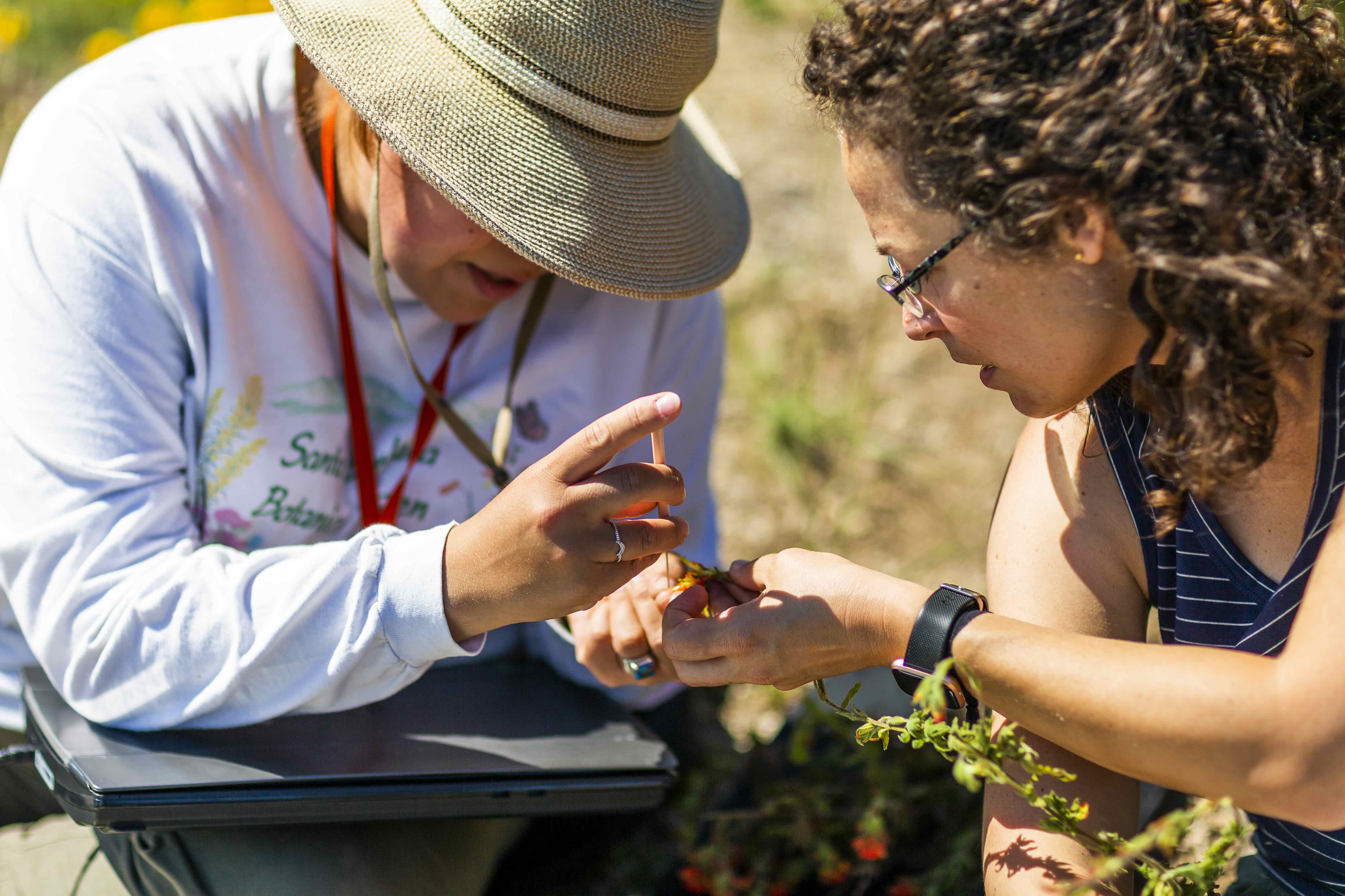 Research | Notes from Nature - CAS Plants to Pixels | Zooniverse ...