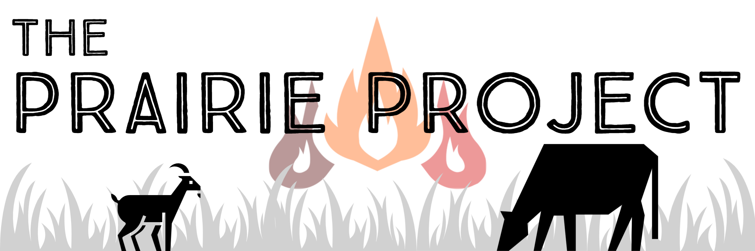 Color and Black Text Rectangle.png
