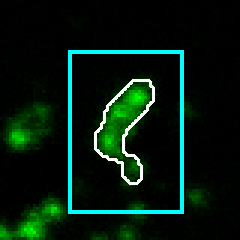 No one is talking about Synaptic Protein Zoo right now.